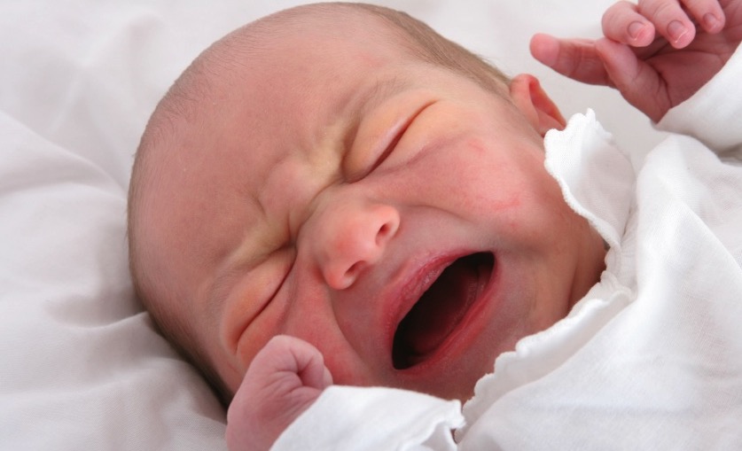 You were born to pitch - Steve Sammartino