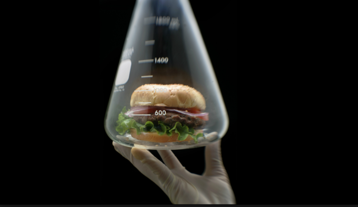 Here comes the Lab Burger - Steve Sammartino